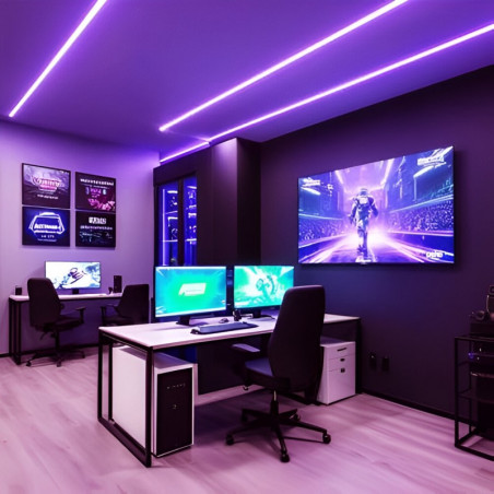 Tira led ILUMROS NEON IP65 11mm 12V luz violeta por 5 metros